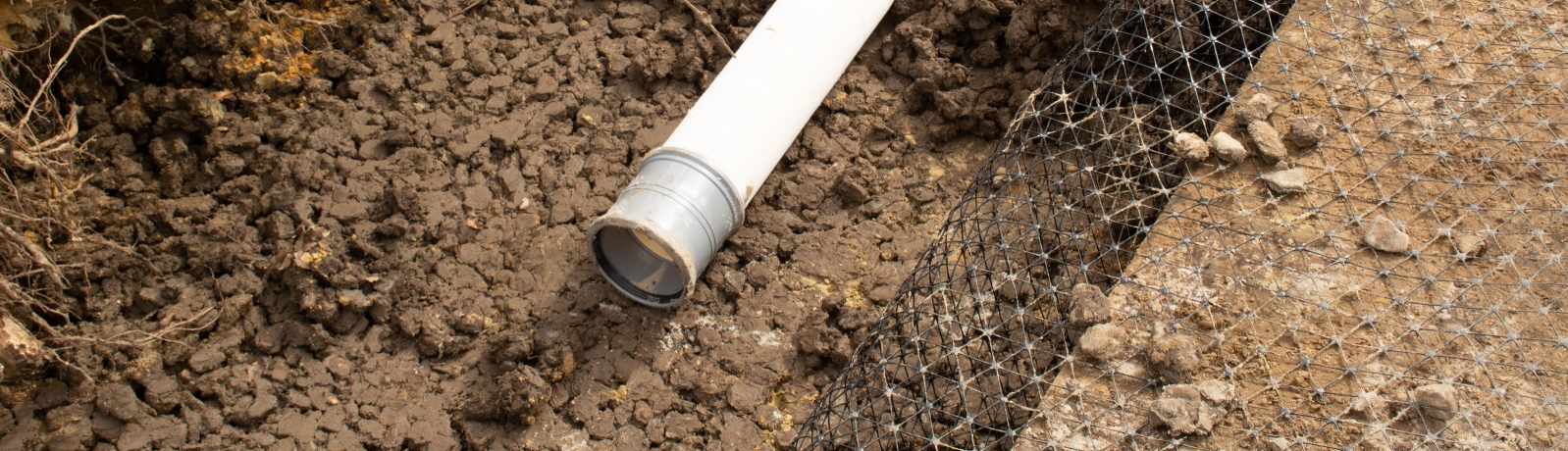 Boombeluchtingsbuis Rawinso | Wildkamp